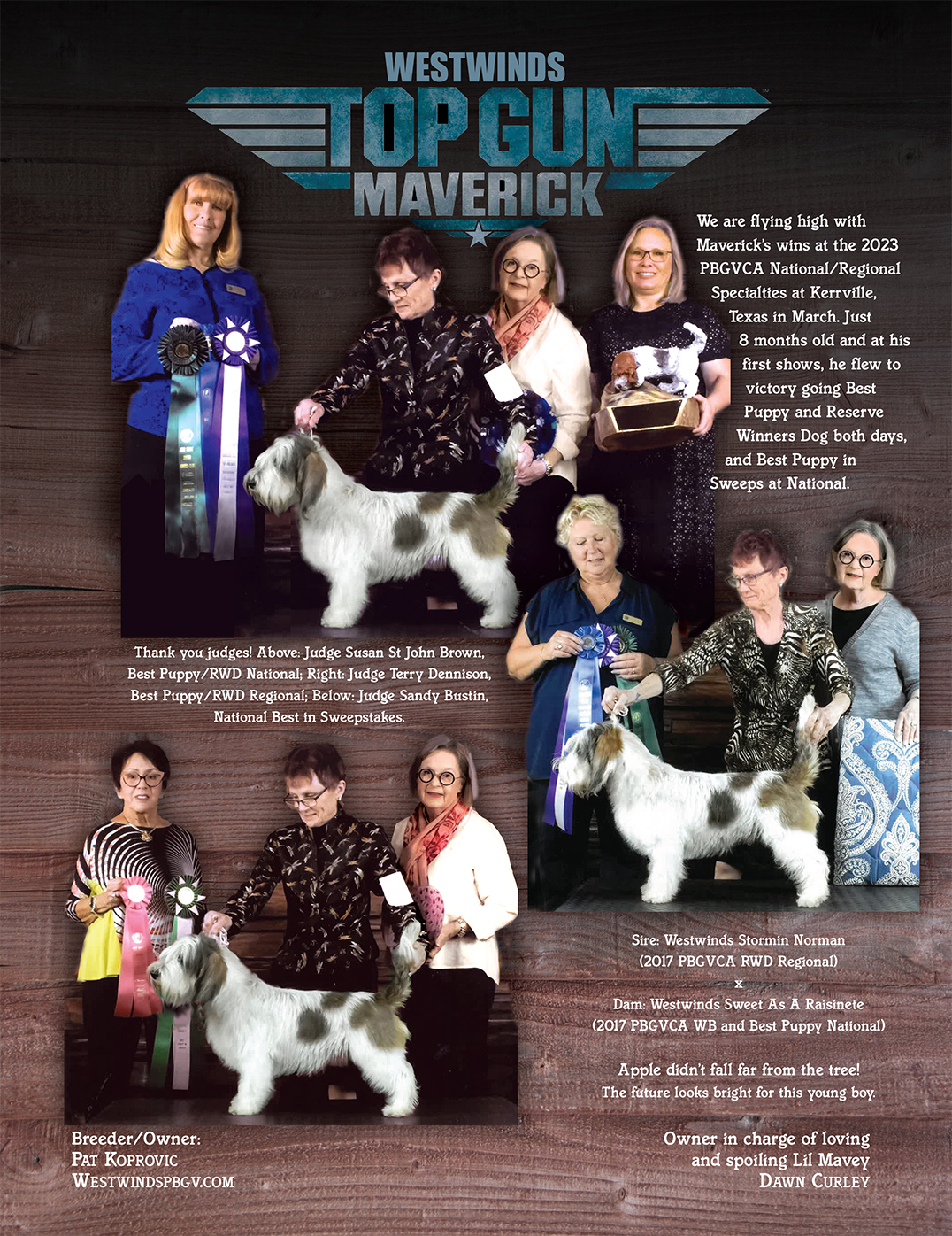 CH Westwind's Top Gun Maverick