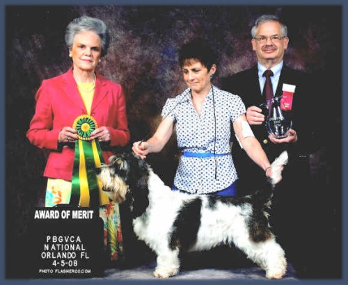 Westwinds Idol Simon Growl