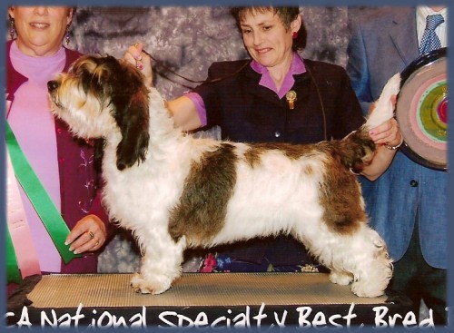 Westwinds Idol Simon Growl